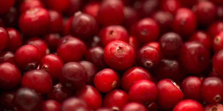 Cranberry: ecco quello che c'è da sapere su questo frutto